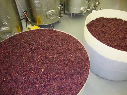 Wine Trail – Fruithurst Winery